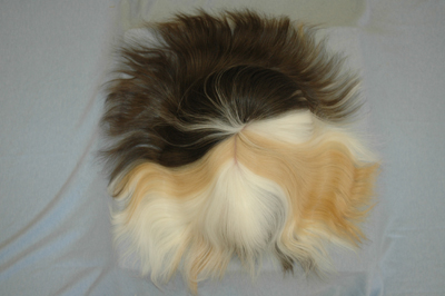 British Cavy Council - Peruvian Varieties Cavy Club